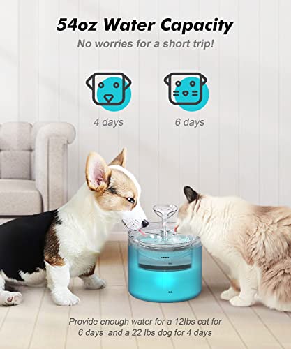 NPET WF100 Cat Water Fountain, 54oz/1.6L Automatic Pet Fountain Cat Water Dispenser with 2 Flow Modes, Light Quiet Pump for Cats