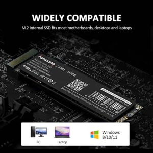 fanxiang S501 256GB NVMe SSD 3D NAND1.3 PCIe Gen3x4 M.2 2280 Internal Solid State Drive (Read/Write Speed up to 2,150/1,300 MB/s) Compatible with Laptop & PC Desktop