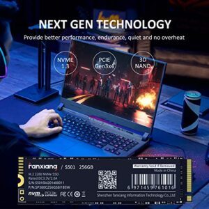 fanxiang S501 256GB NVMe SSD 3D NAND1.3 PCIe Gen3x4 M.2 2280 Internal Solid State Drive (Read/Write Speed up to 2,150/1,300 MB/s) Compatible with Laptop & PC Desktop