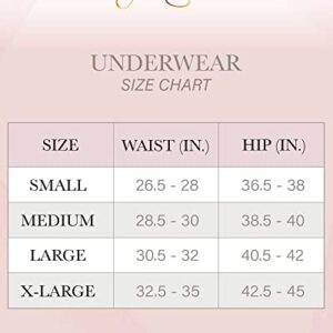 Jessica Simpson Women's Underwear - 5 Pack Seamless Bikini Briefs (S-XL), Size Large, Black/Black/Textured Animal Pearl Blush/Dolce/Mellow Garden Pearl Blush