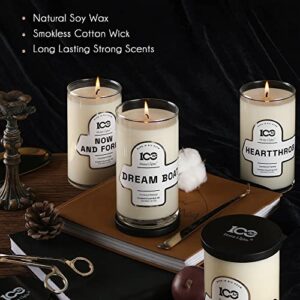 100HRS Highly Scented Candle 3.14x6, 18.5oz - Longest Burning Time Wax, Smokeless Cotton Wick, Pleasant Relaxing Romantic Scents, Popular Gift for Home, Women, Men - Dream Boat