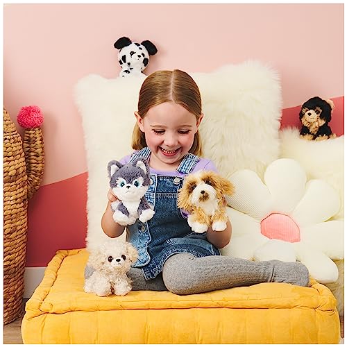 GUND Boo, The World’s Cutest Dog, Boo & Friends Collection Yorkie Puppy, Stuffed Animal for Ages 1 and Up, 5”