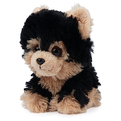 GUND Boo, The World’s Cutest Dog, Boo & Friends Collection Yorkie Puppy, Stuffed Animal for Ages 1 and Up, 5”