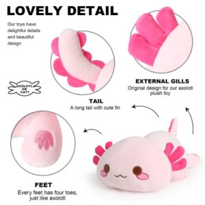 Onsoyours Cute Axolotl Plush, Soft Stuffed Animal Salamander Plush Pillow, Kawaii Plush Toy for Kids (Pink Axolotl A, 13")