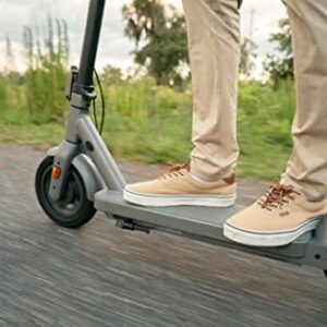 Blutron One S40 Electric Scooter, 700W Peak Power Motor, Impressive 25 Mile Range, 20 Mph, Dual Brakes & Suspension, 10'' Pneumatic Tires, Cruise Control, Foldable and Fast Charging Scooter