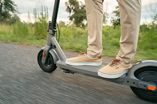 Blutron One S40 Electric Scooter, 700W Peak Power Motor, Impressive 25 Mile Range, 20 Mph, Dual Brakes & Suspension, 10'' Pneumatic Tires, Cruise Control, Foldable and Fast Charging Scooter