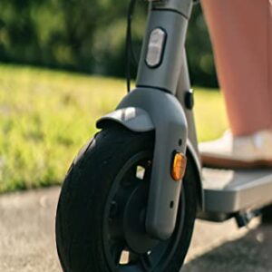 Blutron One S40 Electric Scooter, 700W Peak Power Motor, Impressive 25 Mile Range, 20 Mph, Dual Brakes & Suspension, 10'' Pneumatic Tires, Cruise Control, Foldable and Fast Charging Scooter