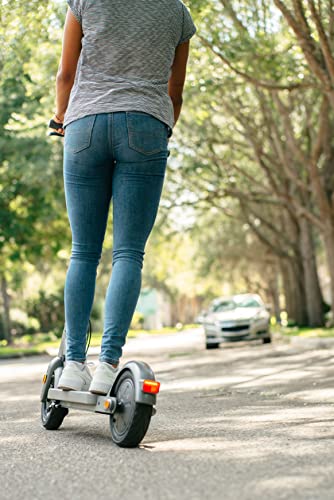 Blutron One S40 Electric Scooter, 700W Peak Power Motor, Impressive 25 Mile Range, 20 Mph, Dual Brakes & Suspension, 10'' Pneumatic Tires, Cruise Control, Foldable and Fast Charging Scooter