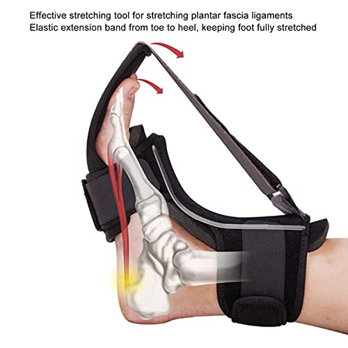 Foot Brace Plantar Fasciitis Night Splint Men Women Foot Drop Orthotic Brace Ankle Support for Heel Spur Arch Ankle Pain(S)