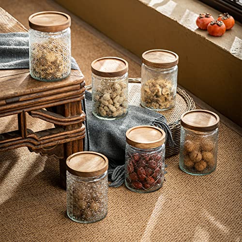 HolaJia Glass Jar with Lid – 24 oz Glass Storage Containers – Premium Jars with Airtight Lids for Coffee, Rice, Sugar – Decorative Cookie Jars for Kitchen Counter, Pantry(Stars)