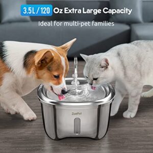 ZeePet Stainless Steel Cat Water Fountain, 3.5L/120oz Large Capacity Pet Water Fountain with Window, Automatic Dog Water Dispenser with led, with 3 Carbon Filter and 2 Pump Filter for Cat,Dog