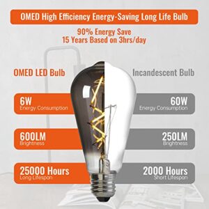 Dimmable LED Edison Light Bulbs, Smoky Grey Vintage Lightbulbs 60 Watt Equivalent 2700K Soft Warm White, ST64 600LM Vanity Light Bulbs With E26 Base for Bathroom, Bedroom, Living Room and Kitchen