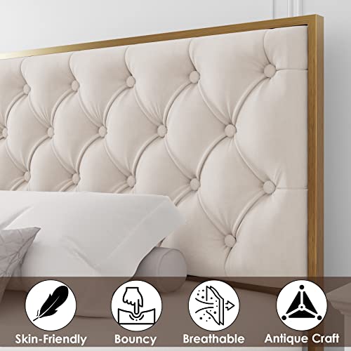 HIFIT Full Bed Frame with 4 Storage Drawers, Upholstered Full Size Bed Frame with Handmade Button Tufted Headboard, Heavy Duty Mattress Foundation with Wooden Slat, No Box Spring Needed,Golden & Beige