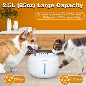 Cat Water Fountain, 85oz/2.5L Cat Fountain Water Bowl Dispenser for Cats Inside, Pet Water Fountain with an Adapter and Filter 2 Flow Modes for Small Dogs Drinking [Ultra-Quiet Version]