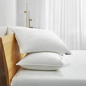 Serta 233 Thread Count White Feather Goose Down Pillow 100% Cotton King Size 2 Pack Pillow for Back Sleeper