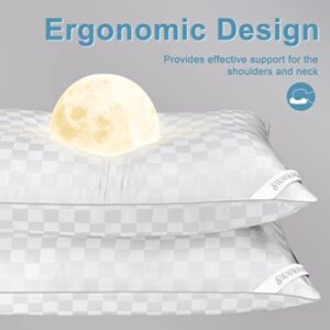 Swandream King Size Pillows Set of 2, Soft and Skin Friendly Down Alternative Pillow for Sleeping, Breathable Pillow for Back, Stomach or Side Sleepers, Grey, 20 * 36 Inches