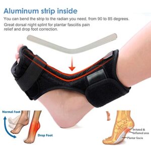 Plantar Fasciitis Night Splint, Adjustable Drop Foot Orthotic Brace Plantar Fasciitis Dorsal Night and Day Splint Effective Relief from Plantar Fasciitis, Achilles Tendonitis with Spiky Massage B