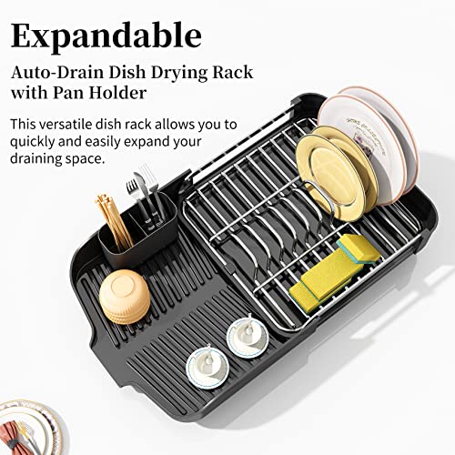 Dish Drying Rack - Large Dish Rack, Expandable Stainless Steel Dish Drainers for Kitchen Counter with Cutlery Holder, Drying Rack for Kitchen Sink, Black