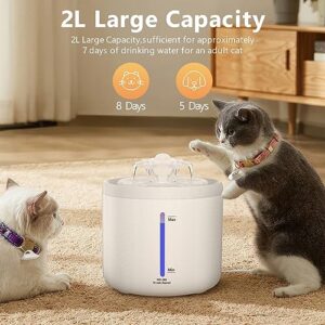 IFurffy Cat Water Fountain, 2L/67Oz Cat Water Dispenser with Smart Pump and 2 Flow Modes,BPA-Free Automatic Pet Water Fountain with Led Light,Ultra Silent Dog Drinking Fountain for Pets