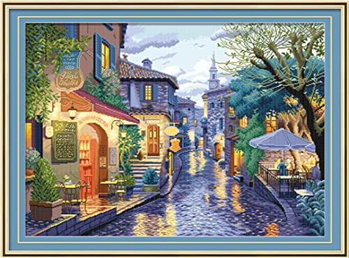 Magxvouy Beginners Cross Stitch Kits Stamped Full Range of Embroidery Kits for Adults DIY Cross Stitches kit Embroidery Patterns for Needlepoint kit- Dusk After rain 15.7x20.9 inch