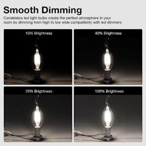 DAYBETTER E12 Candelabra Light Bulbs 60 Watt Equivalent, Dimmable LED Light Bulb Daylight White 5000K, Clear Filament Chandelier Light Bulbs 5.5W 600lm CA11 LED Bulbs, Ceiling Fan Light Bulbs, 5 Pack