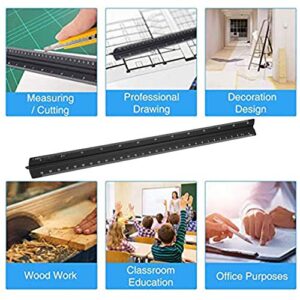 12" Metal Scale Ruler Matrix 30cm Black Triangular Scale Ruler Metric: 1:20, 1:25, 1:50, 1:75, 1:100, 1:125 with Protective Box for Architects and Engineers