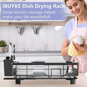 IBUYKE Dish Drying Rack-Multifunctional Expandable Dish Drying Rack,Drying Rack for Kitchen Counter and Drainage, Drying Rack for Dishes, Knives, Spoons, Cups and Forks,Black UTDS001B