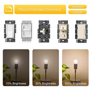 Dimmable A15 LED Bulb, 2W E26 Globe Light Bulbs, 25 Watt Incandescent Bulb Equivalent, 3000K Soft Warm White, Clear Glass, Small Round Filament Bulbs for Ceiling Fans, Bathroom Vanity, 6 Pack