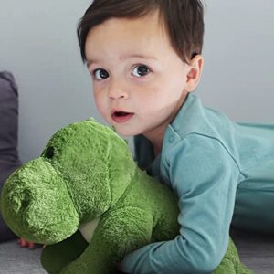 Mewkou 3.5 LB Dinosaur Weighted Stuffed Animals, 24 Inch Weighted Plush Animals Dino Plush Throw Pillow, Super Soft Cartoon Hugging Toy Gifts for Bedding