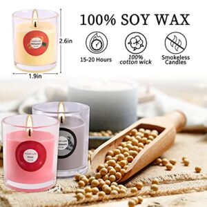 20 Pack Strong Scented Candles Gift Set with 10 Fragrances for Home and Women, Aromatherapy Soy Wax Glass Jar Candle