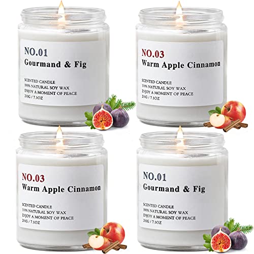 4 Pack Candles for Home Scented, Cinnamon Apple Candles Set, 28 oz 200 Hour Long Lasting Scented Candles, Aromatherapy Candles Gift Set for Women, Birthday, Mother's, Anniversary Day