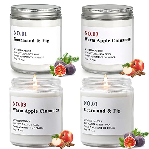 4 Pack Candles for Home Scented, Cinnamon Apple Candles Set, 28 oz 200 Hour Long Lasting Scented Candles, Aromatherapy Candles Gift Set for Women, Birthday, Mother's, Anniversary Day