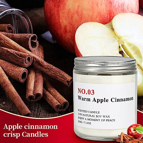 4 Pack Candles for Home Scented, Cinnamon Apple Candles Set, 28 oz 200 Hour Long Lasting Scented Candles, Aromatherapy Candles Gift Set for Women, Birthday, Mother's, Anniversary Day