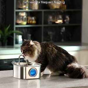 NautyPaws Cat Water Fountain, 3.2L/108oz Automatic Stainless Steel Pet Fountain Dog Water Dispenser with Super Quiet&Transparent Window Design- Ideal for Cats, Dogs and Multiple Pets - Dishwasher Safe