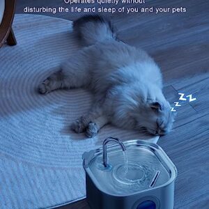 NautyPaws Cat Water Fountain, 3.2L/108oz Automatic Stainless Steel Pet Fountain Dog Water Dispenser with Super Quiet&Transparent Window Design- Ideal for Cats, Dogs and Multiple Pets - Dishwasher Safe