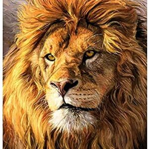 Eiialerm Stamped Cross-Stitch Kits Animal Lion 11CT Beginner Cross Stitch Pre-Printed Pattern Embroidery DIY Children's Adult Home Decoration 16x20 Inch