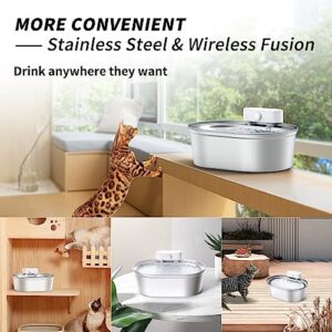 uahpet Cat Water Fountain Stainless Steel, Wireless Battery Operated Cat Fountain, 67oz/2L Pet Water Fountain, Automatic Water Dispenser for Cats Dogs, Dishwasher Safe Cat Fountain