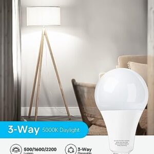 KINDEEP 3 Way LED Light Bulbs 50 100 150 Watt Equivalent, Three Way A21 LED Bulbs, E26 Base, Daylight White 5000K, 500 1600 2200LM for Home Reading, Desk Lamp, Table Lamp, 2 Pack