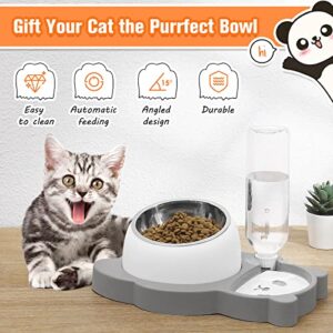 WZFFPAOJ Elevated Dog Cat Bowls, Tilted Cat Food and Water Bowl Set, Raised Stainless Steel Cat Bowls with Automatic Water Dispenser Bottle for Cats and Small Dogs Kitten Puppy