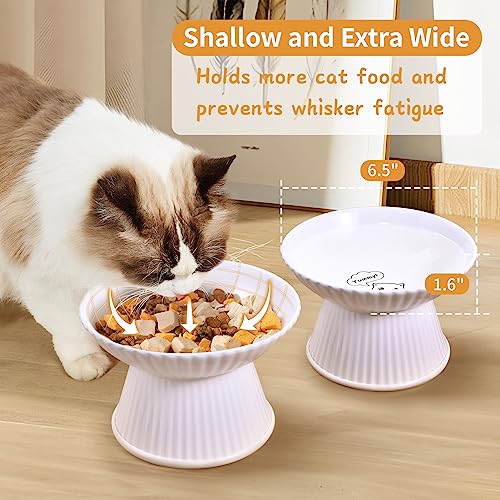 6.5" Extra Wide Ceramic Elevated Cat Bowl, Whisker Friendly Raised Cat Food Bowl for Food and Water, Anti-Vomiting High Cat Dish for Indoor Cats with Non-Slip Ring, Dishwasher Safe & Microwaveable