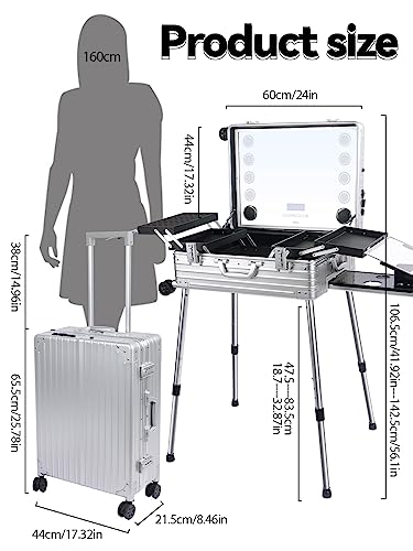 Lorvain 24 Inch Large Makeup Train Case with Mirror and Lights, Rolling Cosmetic Trolley with Bluetooth, Professional Artist Cosmetic Travel Organizer Box Aluminum Makeup Case Salon Station (Silvery)