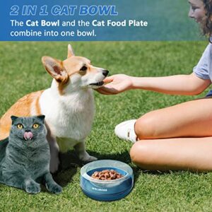 12oz 2 in 1 Cat Water Bowl Dog Water Bowl - Cat Food Bowl & Whisker Fatigue Cat Bowl Plate for Indoor Outdoor, Detachable Wobble Dog Interactive Cat Bowls, Pet Travel Bowls Blue