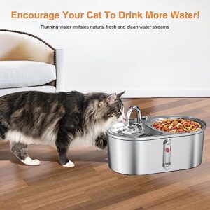 Cat Water Fountain and Food Bowl, 101oz/3L Automatic Stainless Steel Pet Water Fountain for Cats Inside, Ultra Quiet Cat Fountain Water Bowl, Pet Dog Water Dispenser with Water Level Window