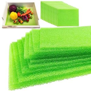 12-pack vegetable and fruit life extender fridge shelf sponge liner, 12" x 15" cuttable, washable, & reusable refrigerator mat, ventilation to keep produce fresh longer prevents spoilage