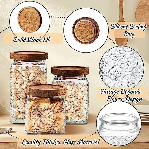 Gerrii 5 Pcs Vintage Glass Food Storage Containers 17/24/34 oz Glass Jar with Lid Begonia Pattern Glass Airtight Candy Jar Food Jars Canisters for Kitchen Counter Pantry Coffee Tea Beans (Square)