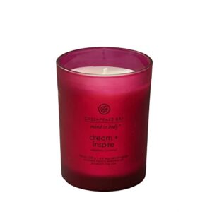 Chesapeake Bay Candle Scented Candle, Strength + Energy (Pineapple Coconut), Medium, Home Décor & PT41689 Candle, Medium Jar, Dream & Inspire, Home Décor