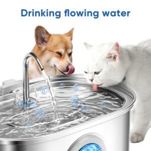 YZHDUXIU Cat Water Fountain, 108oz/3.2L 304 Stainless Steel Cat Fountain with Transparent Window, Automatic Pet Water Fountain Water Bowl, 24 Hours Keep The Water Clean,Ultra-Quiet, No Sputter