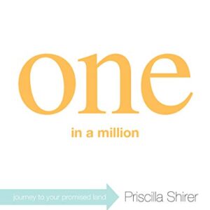 One in a Million: Journey to Your Promised Land (Bible Study Book)