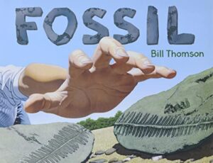 fossil