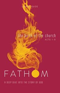 fathom bible studies: the birth of the church leader guide (luke 24-acts 8): a deep dive into the story of god